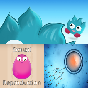 Student Lesson: Sexual Reproduction and Genetic Variation MS-LS3.B-1 ...