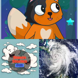 For Class: Weather Patterns ES-ESS2.D-1 - Free Games, Assessments, and ...