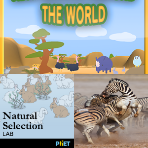 Lesson: Natural Selection 5.LS4.2 - Free Games and Simulations ...