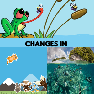 Lesson: Ecosystem Stability 5-LS2.A-1b - Free Games and Assessments ...