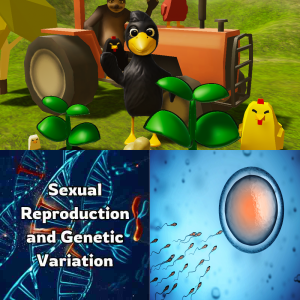 Teaching Plan: Sexual Reproduction and Genetic Variation 8.LS3.2-3 ...