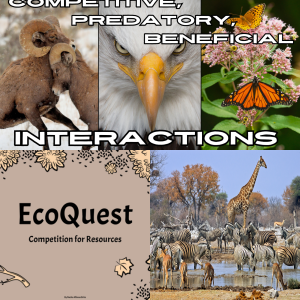 Worksheet: Ecosystem Interactions - Free Games, Assessments, and Videos ...