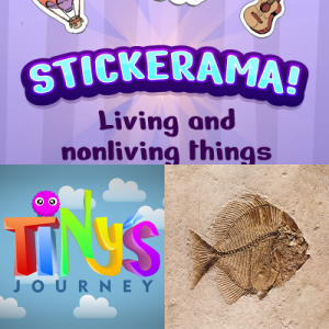 Lesson: Living and Nonliving Things SC.1.L.14.3 - Free Games and ...