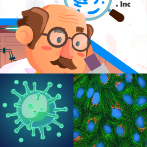 Free Educational Games: Cell Theory 7.12F - Free Games and Assessments ...