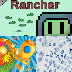 Student Lesson: Cellular Homeostasis SC.6.L.14.3 - Free Games and ...