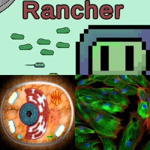 For Class: Structure And Function Of Life 7.3.1 - Free Educational ...