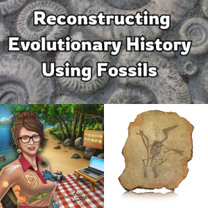 Free Educational Games: Reconstructing Evolutionary History Using ...
