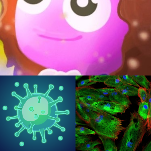 Lesson: Cells and Life MS-LS1.A-1 - Free Games and Assessments ...