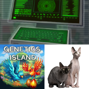 Teaching Plan: Predicting Genotype and Phenotype Combinations SC.7.L.16 ...