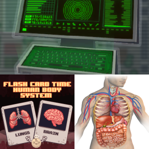 Teaching Plan: Human Organs Functions SC.5.L.14.1 - Free Games and ...