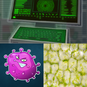 Student Lesson: Cell and Organism Functions 7.12E Assignment - Free ...