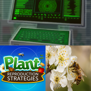 Free Educational Games: Plant Reproduction Strategies - Free Games and ...