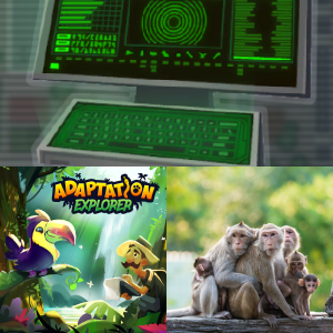 Free Lesson: Genetic Variation and Survival within Populations 4.L.1.4 ...