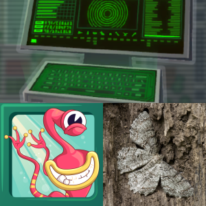 Free Educational Games: Adaptation 3.LS4.2 - Free Educational Games ...