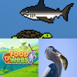 Student Lesson: Food Webs 4.LS2.3 - Free Games and Assessments ...