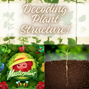 Lesson: Plant Structure and Function ES-LS1.A-1a - Free Games and ...