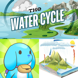 Worksheet: The Water Cycle MS-ESS2.C-1 - Free Games and Videos ...