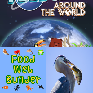 Worksheet: TN 4.LS2.3 - Food Webs - Free Games and Assessments ...