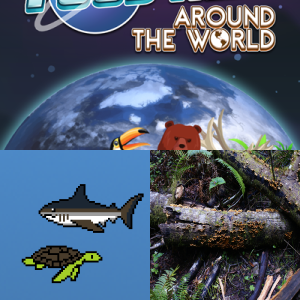 For Class: Cycles of Matter and Energy Transfer in Ecosystems 4.LS2.2 ...