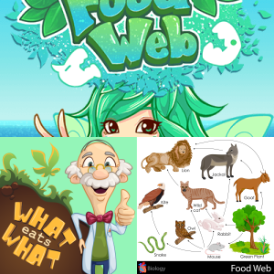Game Based Learning: Food Chains & Food Webs - Free Games and ...