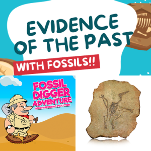 For Class: Fossil Evidence 4.LS4.1 - Free Games and Videos - Legends of ...