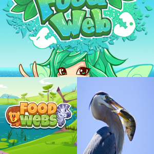 Game Based Learning: Flow of Energy in the Food Chain SC.4.L.17.3 ...