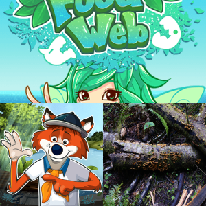 Free Lesson: Cycles of Matter and Energy Transfer in Ecosystems ES-LS2 ...