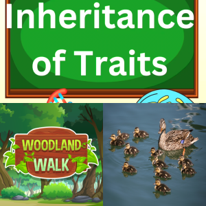 Practice: Inheritance of Traits 2.LS3-1 - Free Games and Videos ...