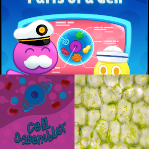 Worksheet: Cell Organelles - Free Games and Assessments - Legends of ...