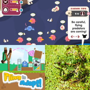 Free Lesson: Adaptation Assignment with Post test - Free Games and ...