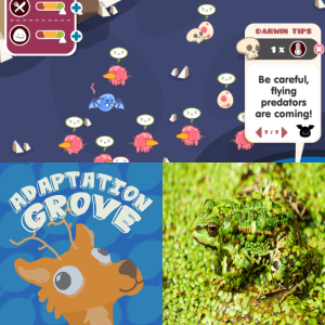 Practice: Adaptation MS-LS4.C-1 - Free Games and Assessments - Legends ...