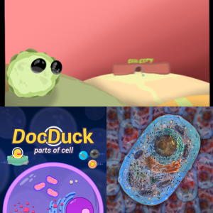 Game Based Learning: Prokaryotic and Eukaryotic Cells 6.12B - Free ...