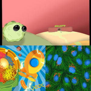 Worksheet: Parts of the Cell MS-LS1.A-2a - Free Games and Assessments ...