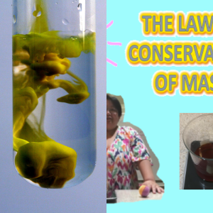 Worksheet: Conservation of Matter in Chemical Reactions MS-PS1.B-2 ...