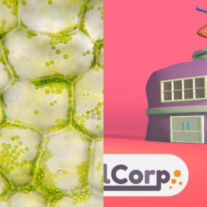 Student Lesson: Parts of the Cell - Plants vs. Animals MS-LS1.A-2b ...