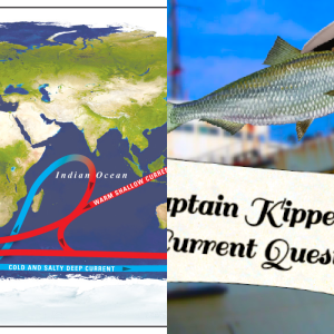 For Class: Ocean Currents MS-ESS2.C-4 - Free Games and Assessments ...