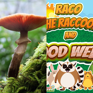 Free Homework Prep: Carbon Cycle SC.8.L.18.3 - Free Games and ...