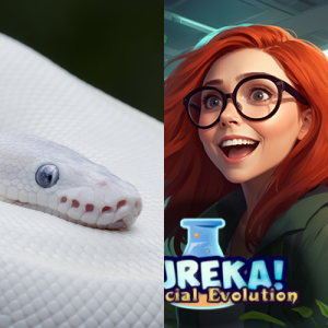 Free Educational Games: Gene Mutations - Free Games and Assessments ...