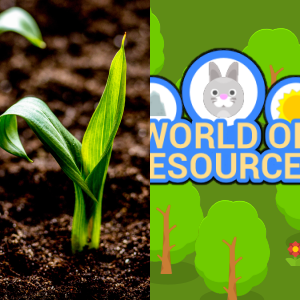 Practice: Natural Resources K-ESS3.A-1 - Free Games and Assessments ...