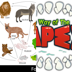 Worksheet: Food Webs in an Ecosystem MS-LS2.B-1 - Free Games and ...