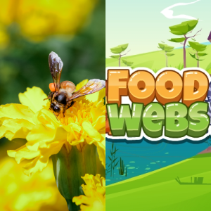 Game Based Learning: Organism and Ecosystem Relationships 3.5b - Free ...