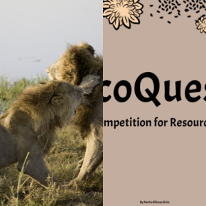 Lesson: Competition for Resources In Ecosystems MS-LS2.A-2 - Free Games ...