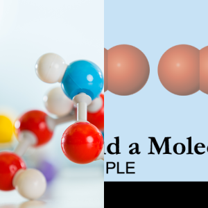 Student Lesson: Building Molecules - Free Games, Simulations, and ...