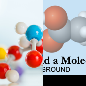 Free Educational Games: Molecules and Compounds MS-PS1.A-1b - Free ...