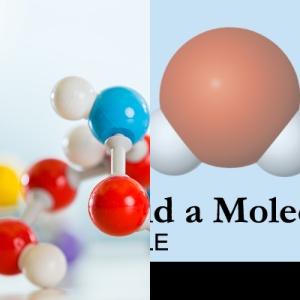Student Lesson: Molecules and Compounds MS-PS1.A-1b - Free Games ...