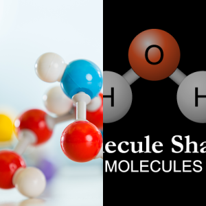 Free Homework Prep: Molecules and Compounds MS-PS1.A-1b - Free Games ...