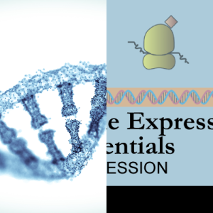 Lesson: Advanced Simulations - Life Science AS.LS - Free Games and ...