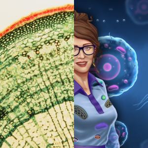 Free Homework Prep: Cells and Structures of Organisms 7.L.3A - Free ...