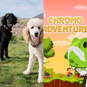 Game Based Learning: Variation of Inherited Traits MS-LS3.A-2 - Free ...