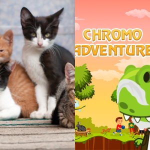 Free Homework Prep: Variation of Inherited Traits 5.LS3.2 Assignment ...